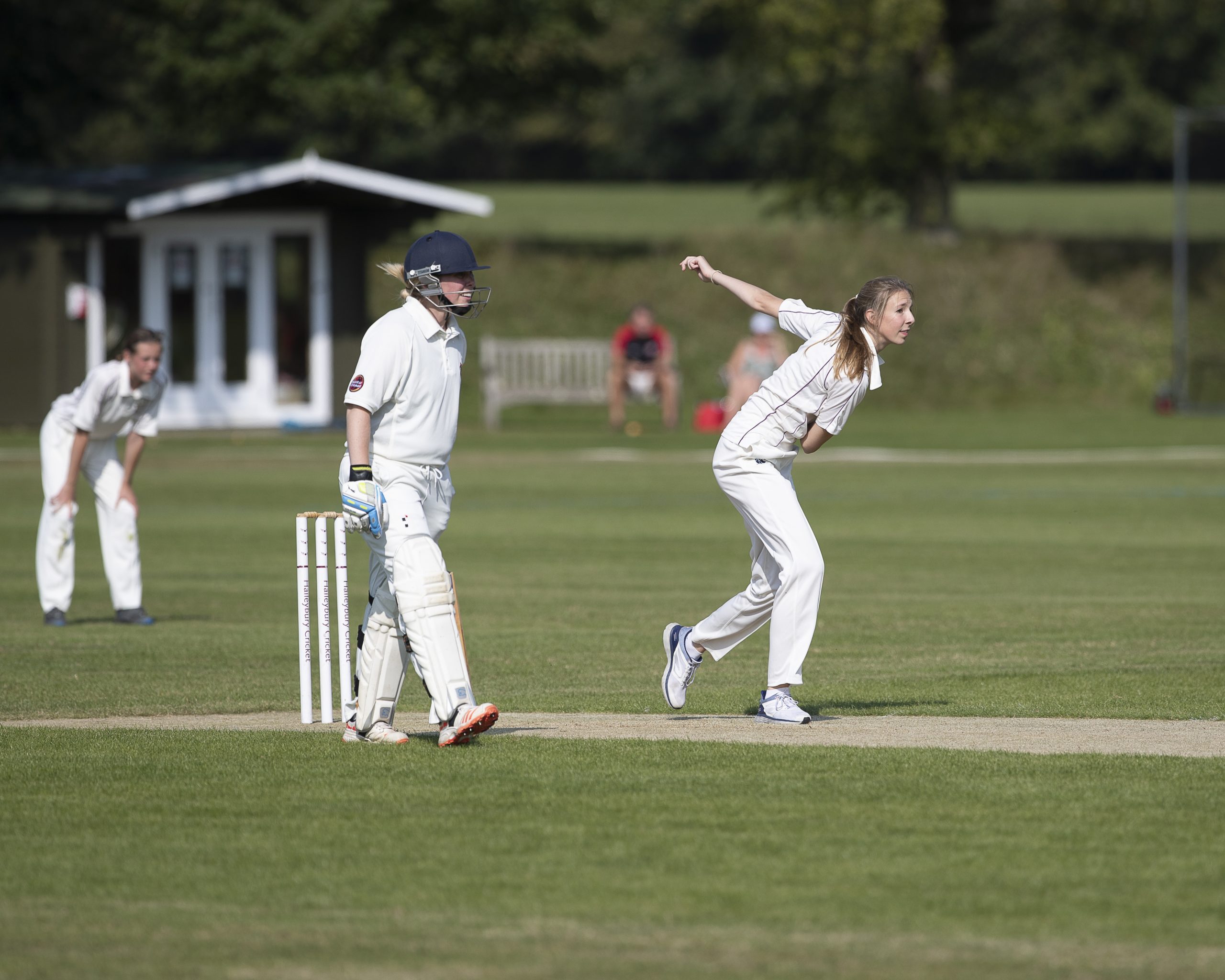 Haileybury celebrates another year ranked amongst the top schools for ...